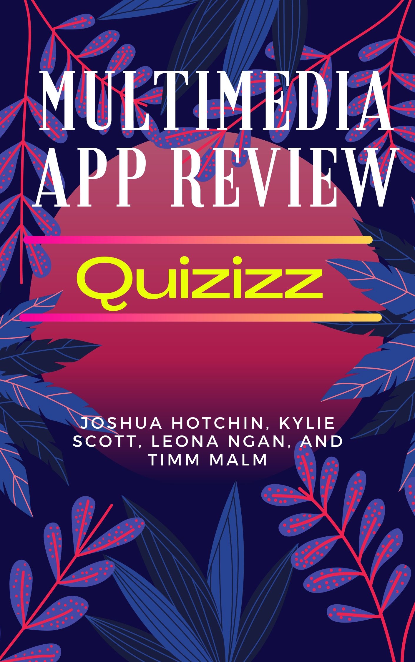 Group Multimedia App Review – Timm's Uvic Webpage